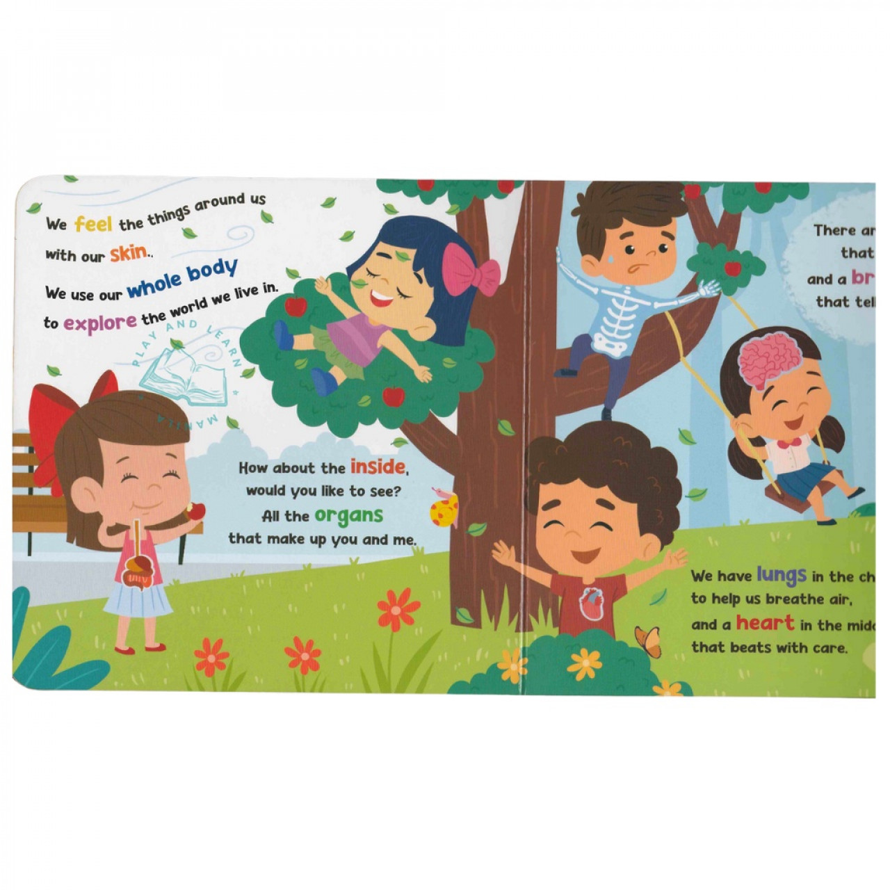 Smart Babies Discover the World Board Book - My Body