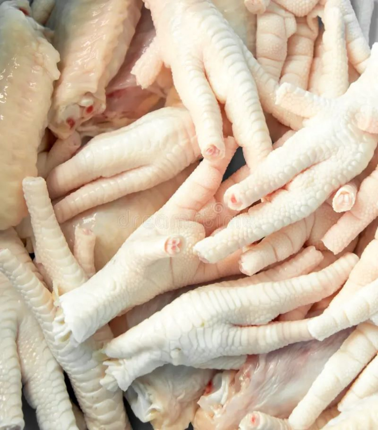 Adidas or Chicken Feet one kilo